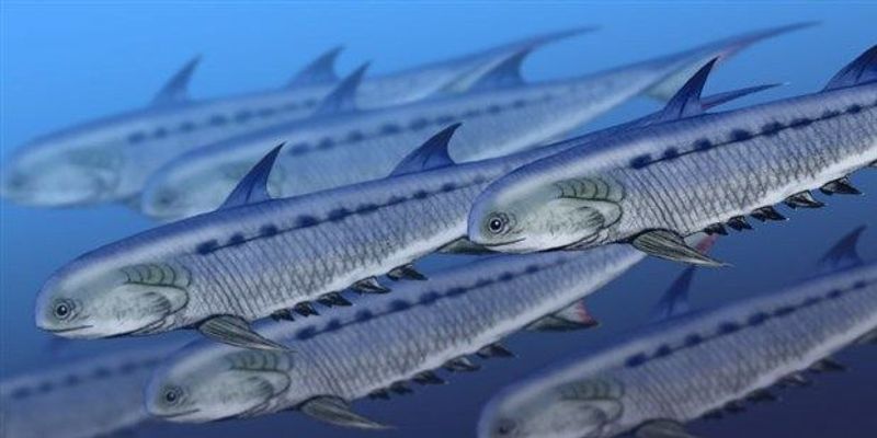 Sharks May Have Evolved from Acanthodians | The Scientist