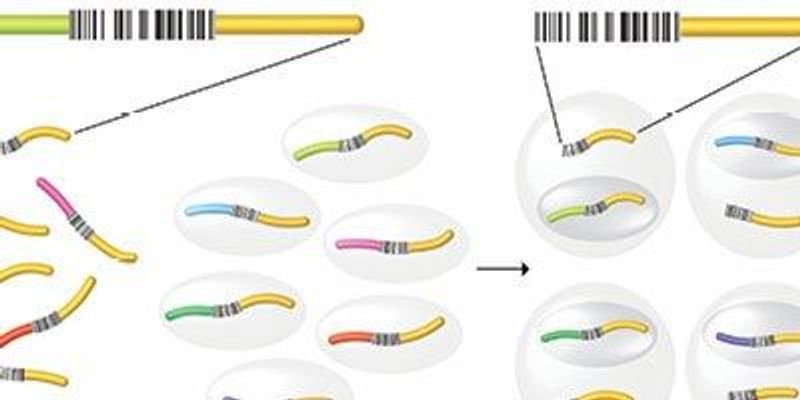 Massively Parallel Perturbations | The Scientist