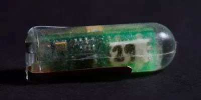 Next Generation: Ingestible Device Powered by Stomach Acid | The Scientist