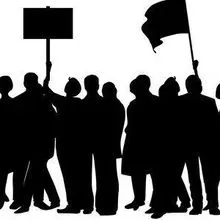 Adam Marcus Author Profile | The Scientist