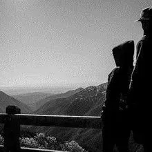 The Genetics of Human Height | The Scientist