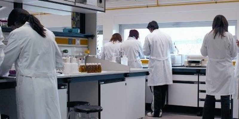 Scientists Offer Lab Space for Stranded Peers | The Scientist