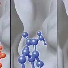 Software | The Scientist