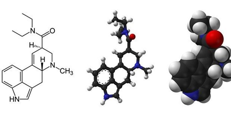 How LSD Affects the Brain | The Scientist