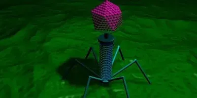 Scientists Identify a Viral Communication System | The Scientist