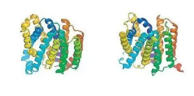Unknown Protein Structures Predicted | The Scientist