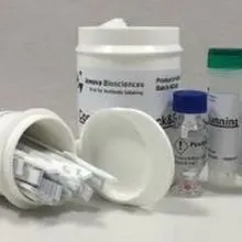 Innova Biosciences introduces the Conjugate Check&Go! Kit. | The Scientist