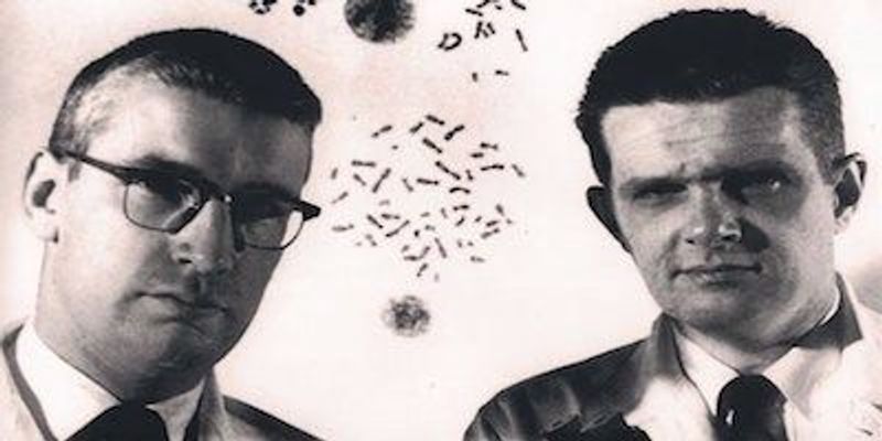 Philadelphia Chromsome | The Scientist