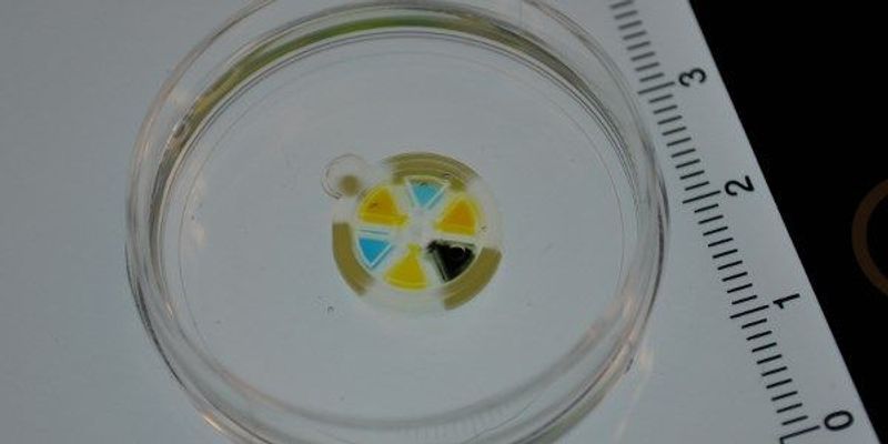 Next Generation: Biocompatible Microdevices | The Scientist