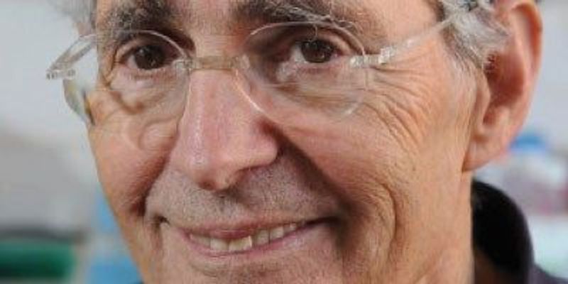 Methylation Maestro | The Scientist