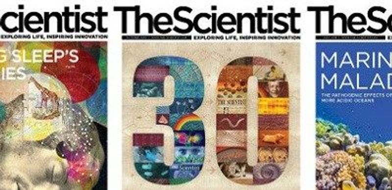The Scientist’s Year in Review | The Scientist Magazine®