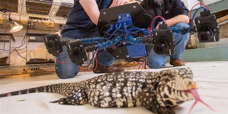 3-D Models Capture Endangered Species Before They Go Extinct | The ...