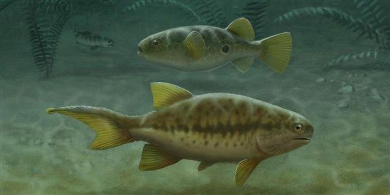 A Tale of Two Tails | The Scientist