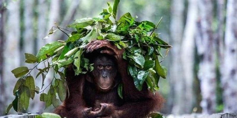 Image of the Day: Some Weather | The Scientist Magazine®