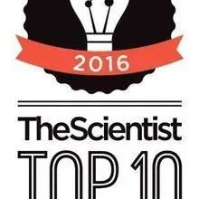 Top Innovations | The Scientist