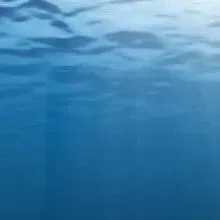 Deep-Sea Viruses Destroy Archaea | The Scientist