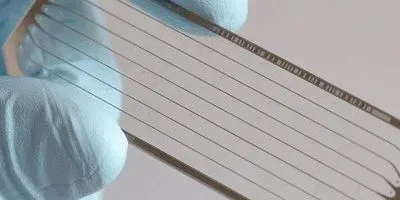 Q&A: Confirming Next-Gen Sequencing Results with Sanger | The Scientist