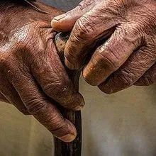 Life Expectancy | The Scientist