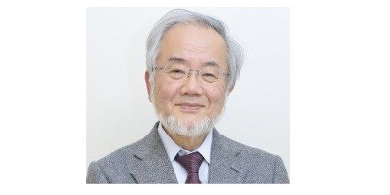 Autophagy Pioneer Wins Nobel | The Scientist