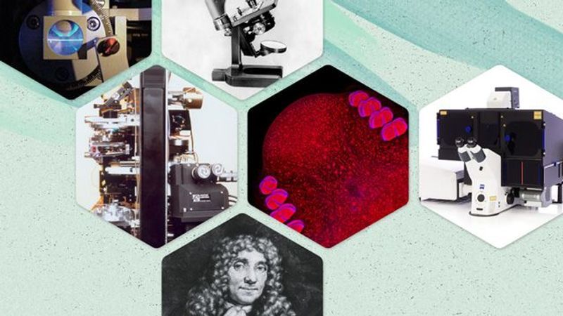 Microscopy’s Growth Through the Years | The Scientist