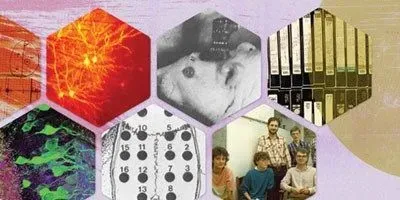 New and Old Techniques in Modern Neuroscience | The Scientist