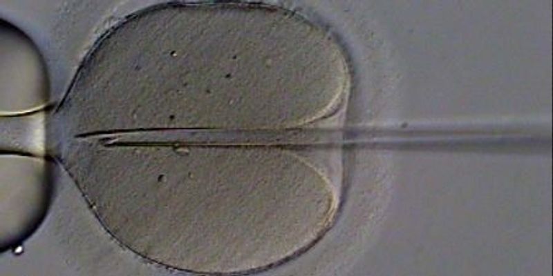 First MRT Baby Born | The Scientist