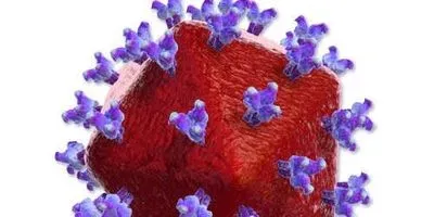 Broadly Neutralizing Antibodies in HIV Patients | The Scientist