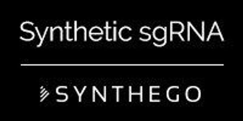 Synthego Announces World’s First Synthetic Single Guide RNA Kit for ...