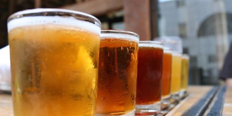 The Evolution of Beer Yeast | The Scientist