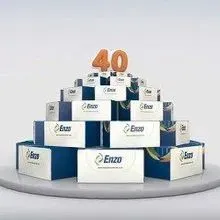 Enzo: Pioneering Technologies for 40 Years | The Scientist