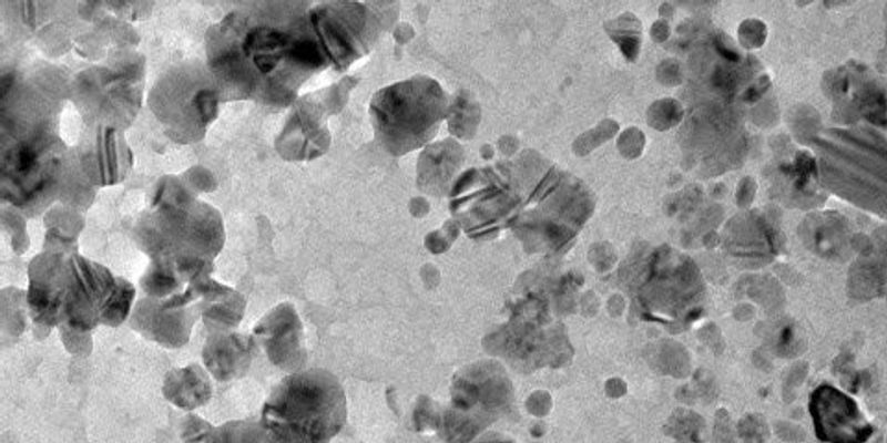 Environmental Magnetite in the Human Brain | The Scientist
