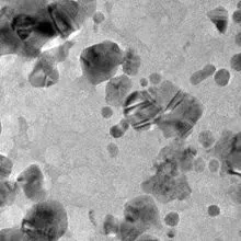 Environmental Magnetite in the Human Brain | The Scientist