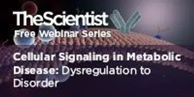 Cellular Signaling in Metabolic Disease – Dysregulation to Disorder ...