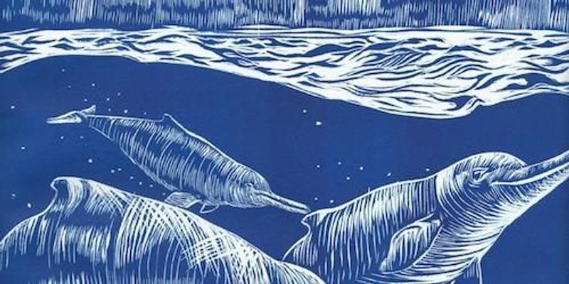 Image of the Day: Ancient River Dolphins | The Scientist