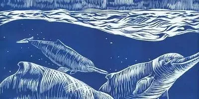 Image of the Day: Ancient River Dolphins | The Scientist