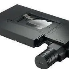 Prior Scientific Profile | The Scientist