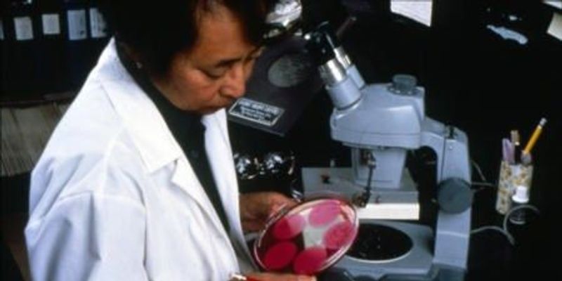 On Race, Gender, and NIH Funding | The Scientist