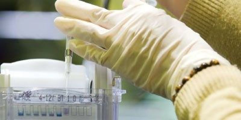 Software for Image Analysis | The Scientist