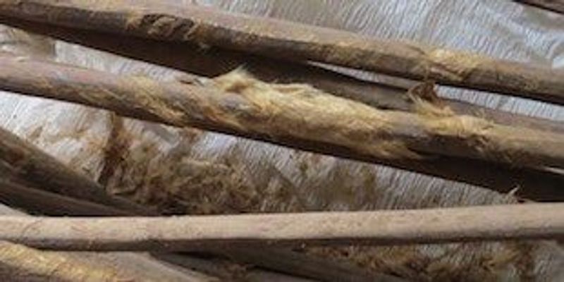 Fossilized Feces Reveal Silk Road Parasites | The Scientist