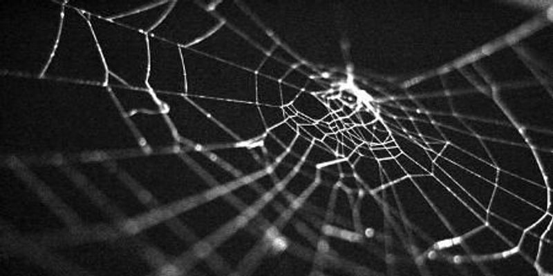 Web of Science Sold for More Than $3 Billion | The Scientist