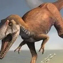 Forelimbs | The Scientist