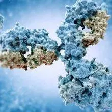 FiberCell Systems Profile | The Scientist