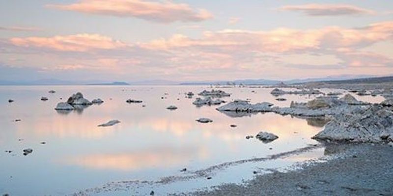 Microbes Persist in Super-Salty Conditions | The Scientist