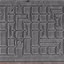 Image of the Day: Mold Maze | The Scientist