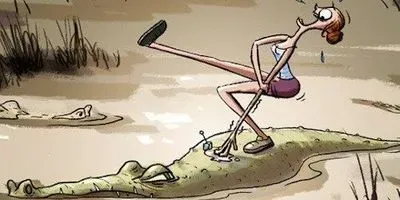 Illustrating #FieldworkFails | The Scientist