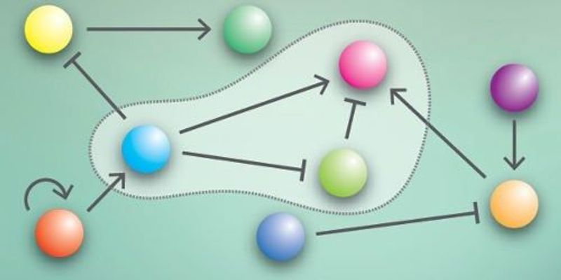 Building Gene Networks | The Scientist