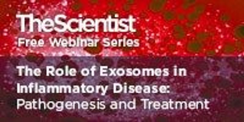 The Role of Exosomes in Inflammatory Disease: Pathogenesis and ...