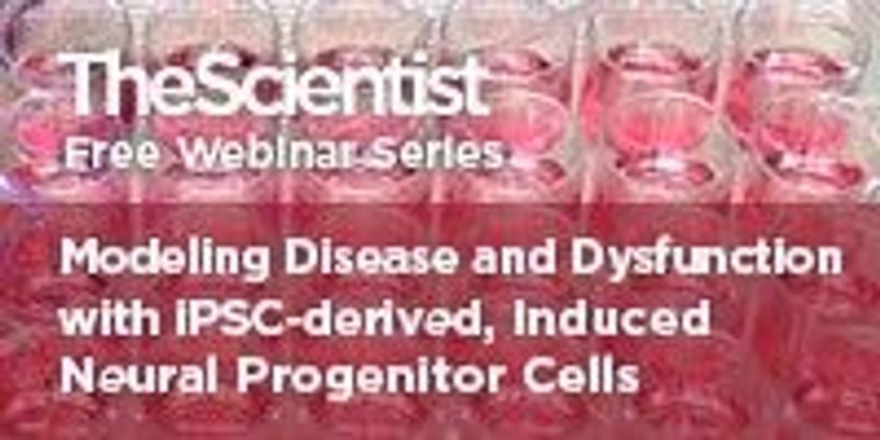 Modeling Disease And Dysfunction With Ipsc Derived Induced Neural