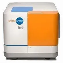 ProteinSimple: Wes Simple Western | The Scientist