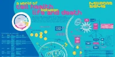 LabQuiz: What's Your Cell IQ? | The Scientist